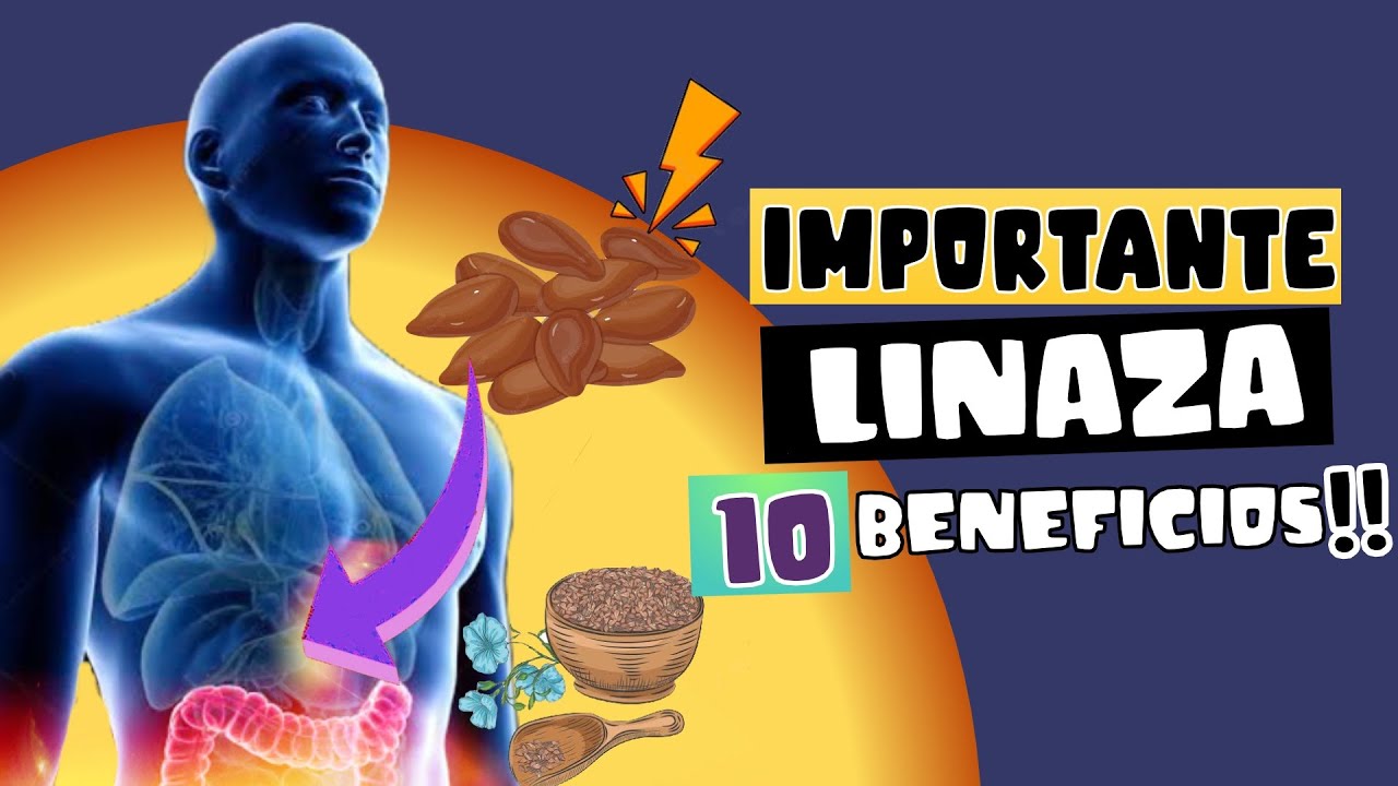 Beneficios de la linaza: 5 razones para consumirla hoy mismo