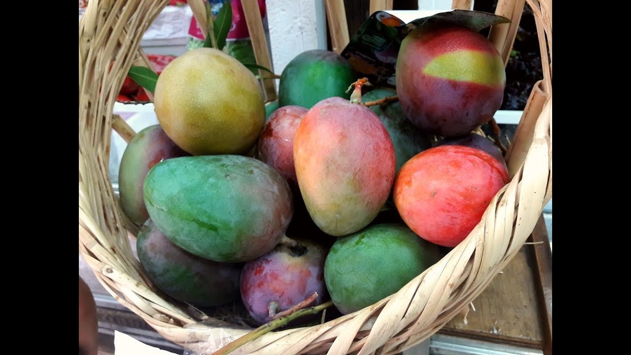 Frutas tropicales en España: 7 delicias que debes probar