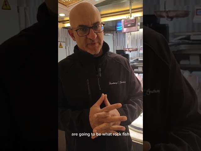 Pescado de roca: 7 deliciosas recetas para disfrutarlo hoy